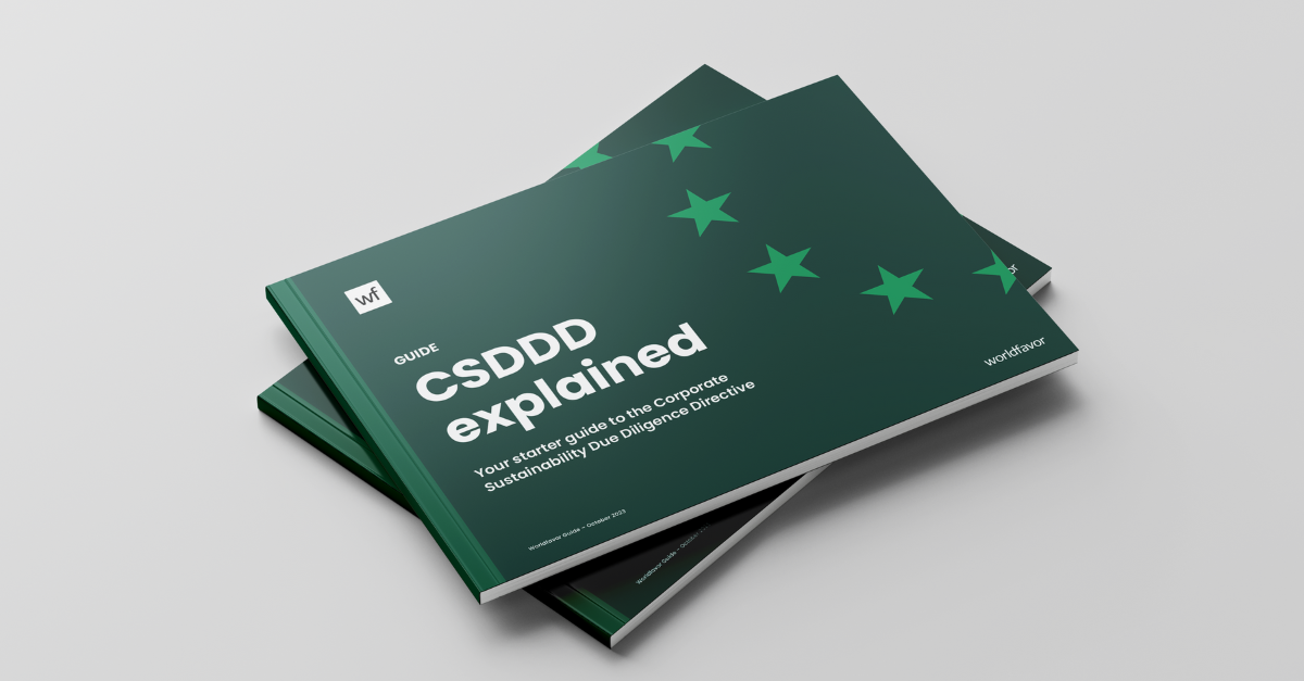 Guide: CSDDD explained